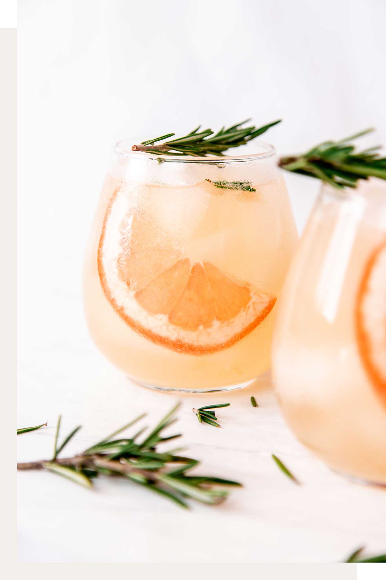 The Fermented Drinks Semester • Water Kefir and Kombucha Brewing Class