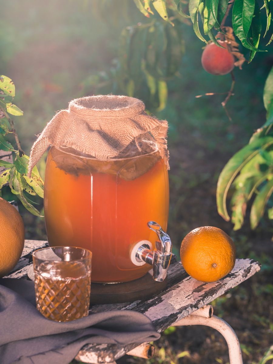 Choosing the Best Tea for Kombucha Brewing